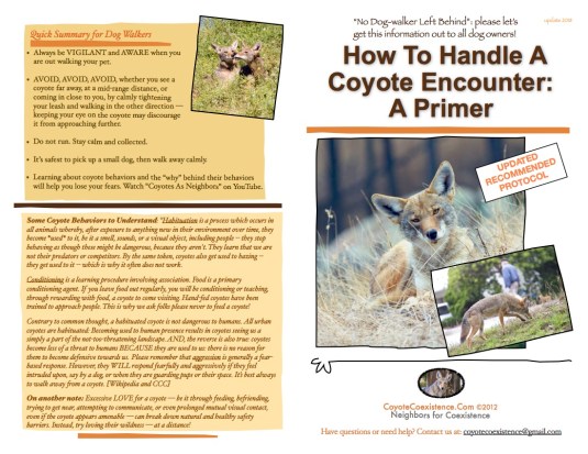 Coyote Yipps | Information and stories about San Francisco coyotes ...