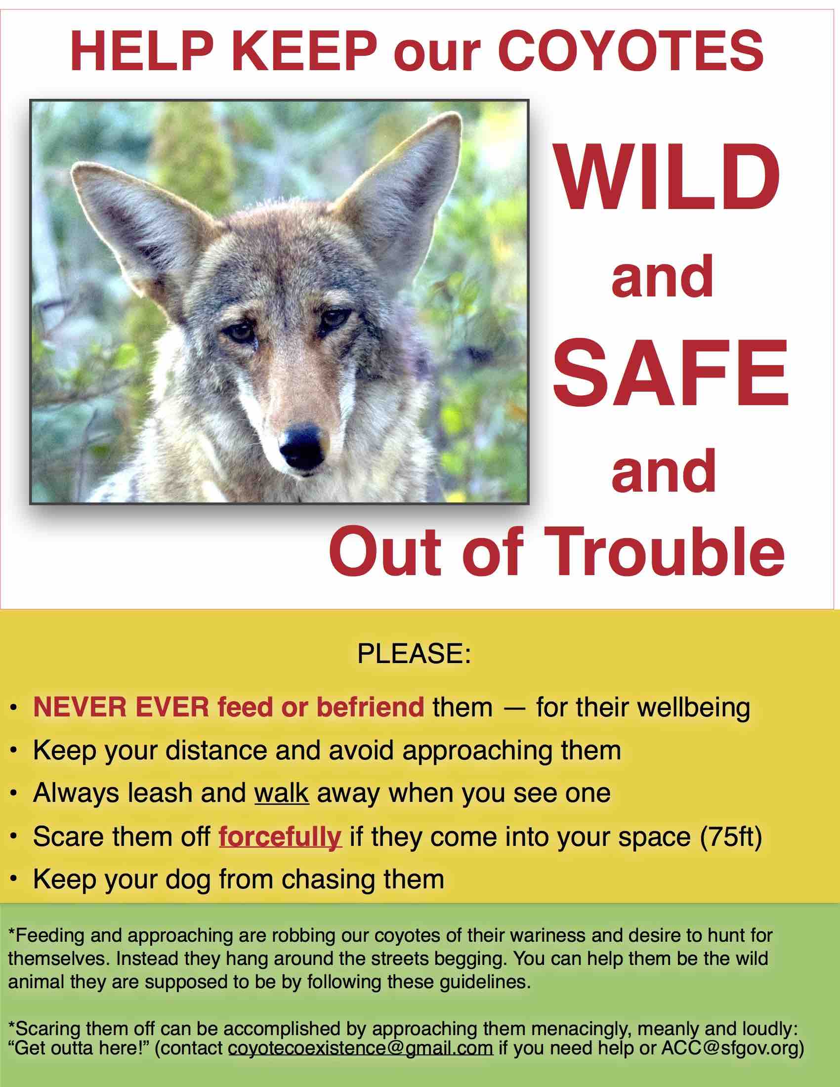 SIGN- | Coyote Yipps