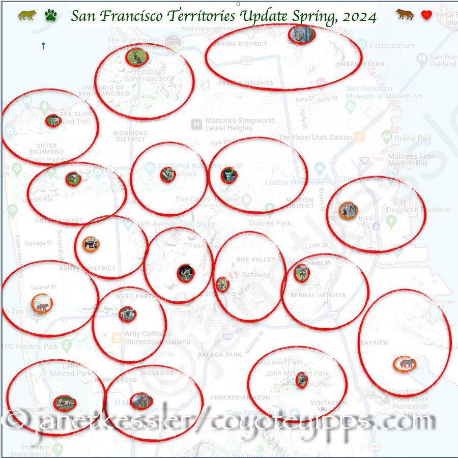 Territories & Population in SF | Coyote Yipps