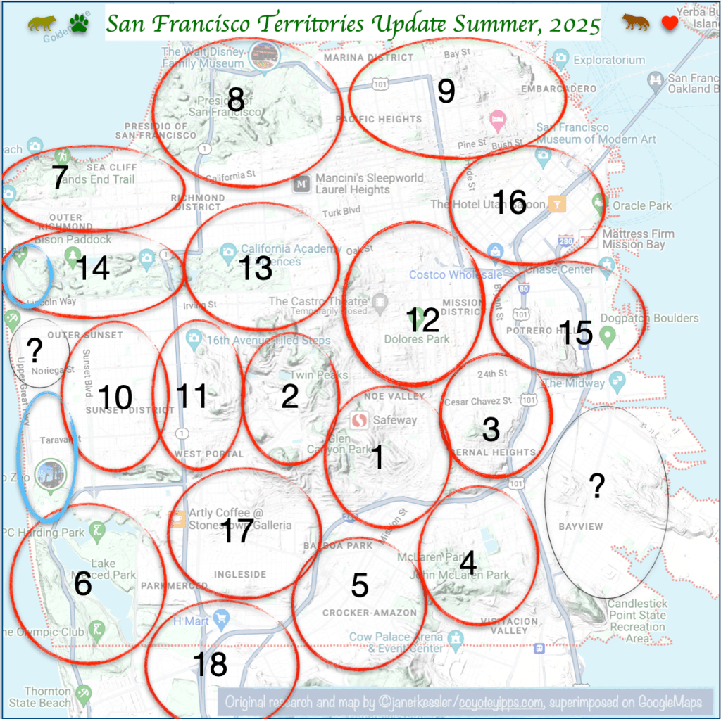 SF Coyote Territorial Map and Family Situations to Summer 2025 | Coyote ...